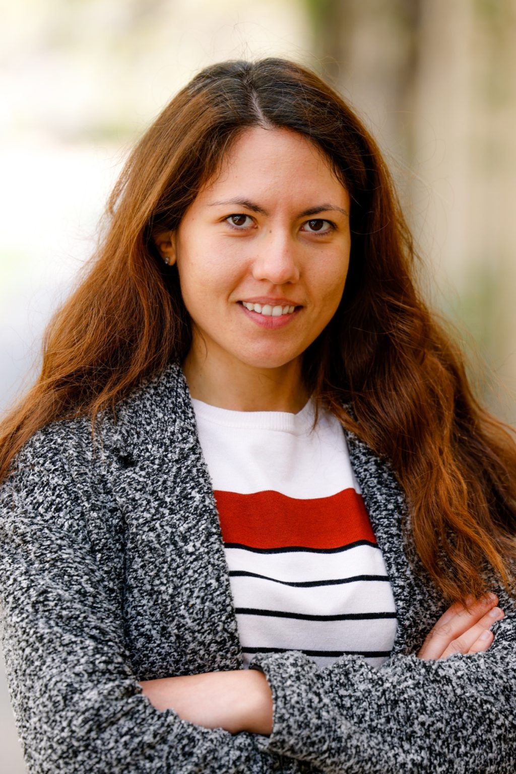 Quantum simulation of lattice gauge theories with ultracold atoms – IQuS